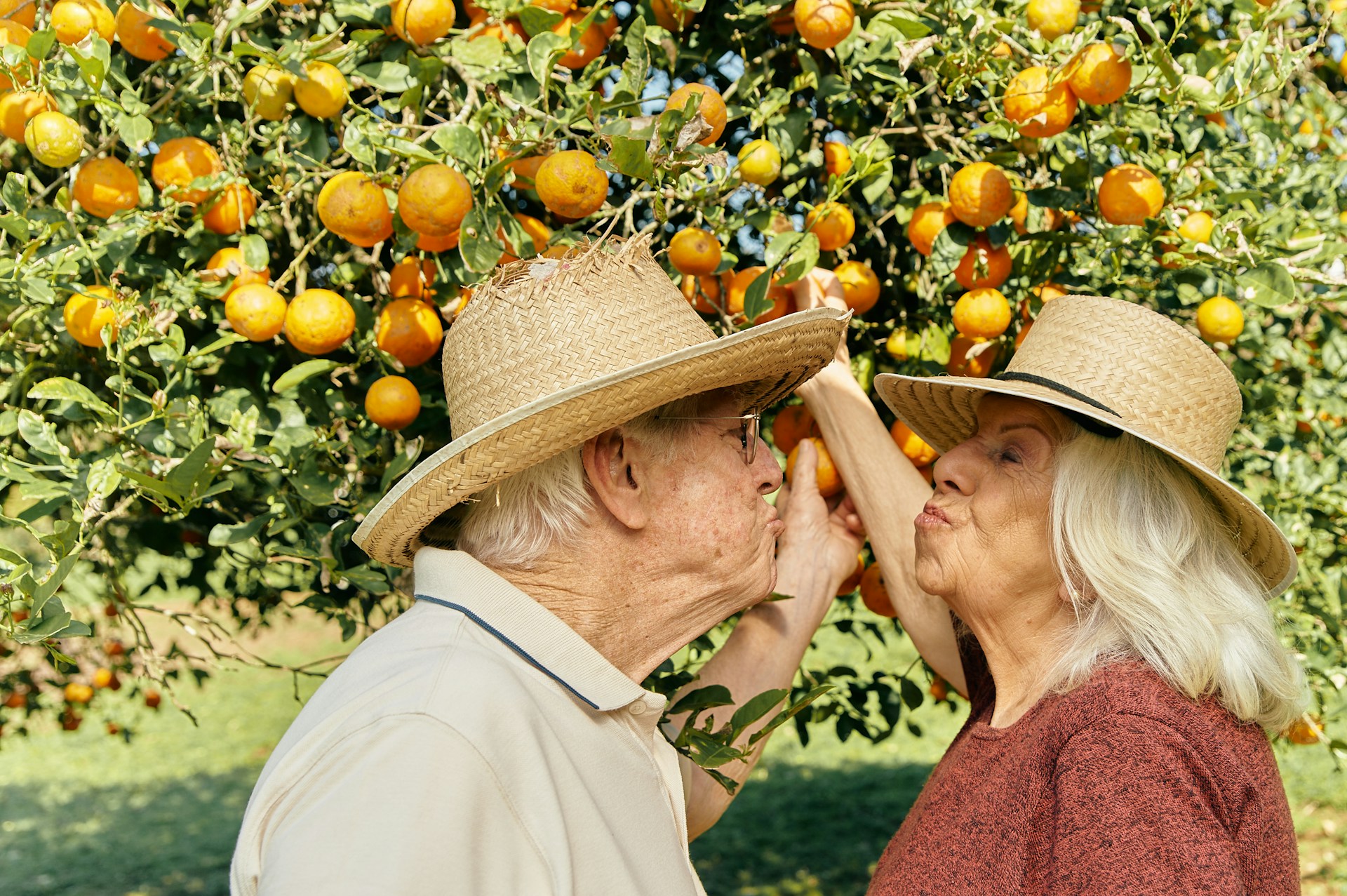 How to Switch Medicare Part D Plans: A Guide by The Modern Medicare ...